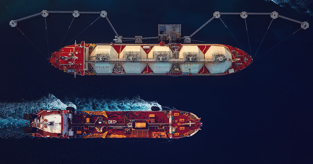 Software di gestione della conformità della supply chain | NAVEX