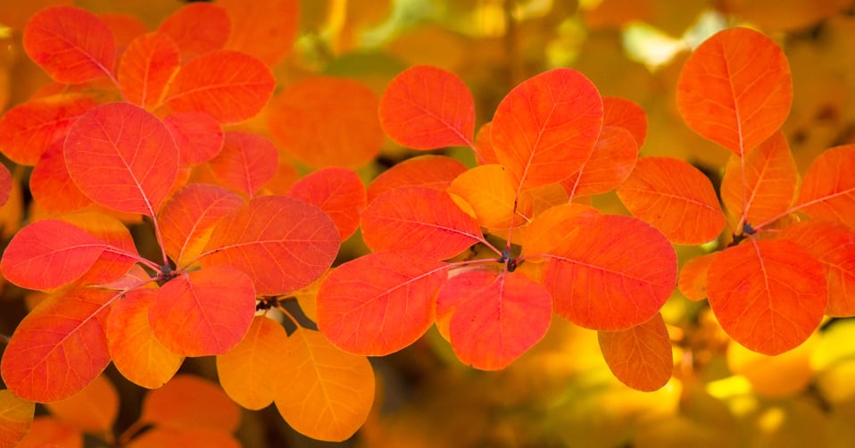 NAVEX Announces 13th Annual NAVEX Next Risk & Compliance Virtual ...